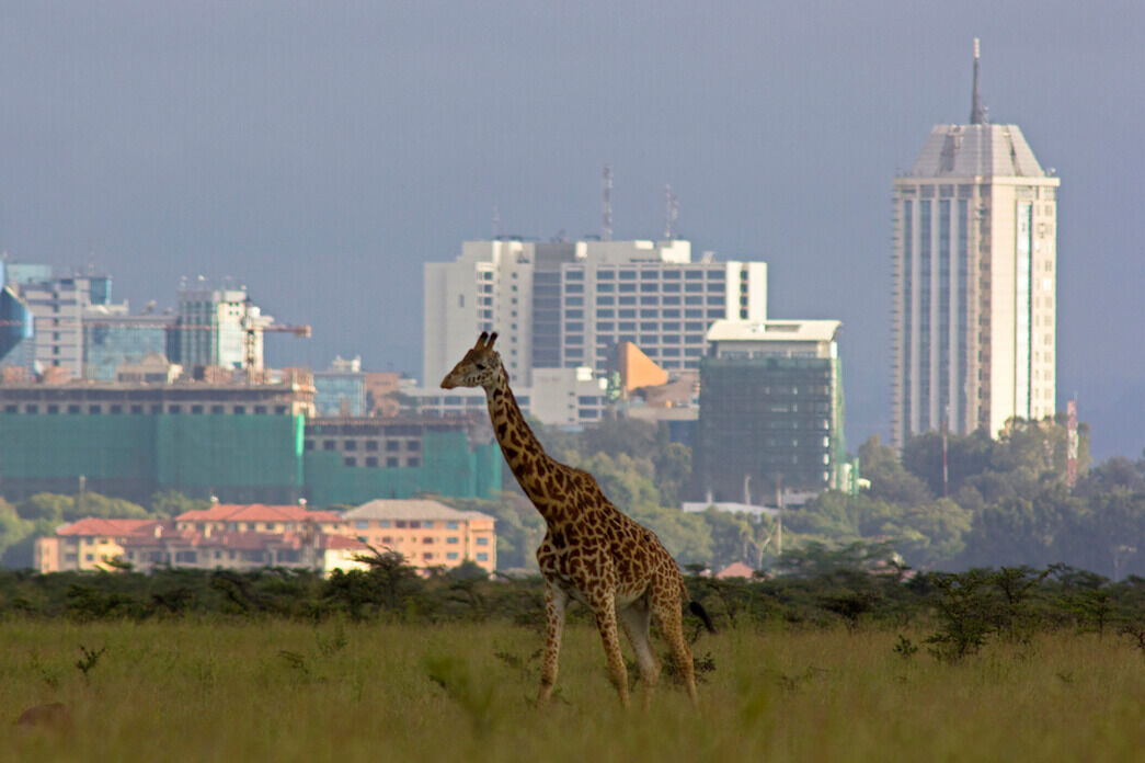 Will Nairobi’s ambitious renewal project secure residents' social rights?